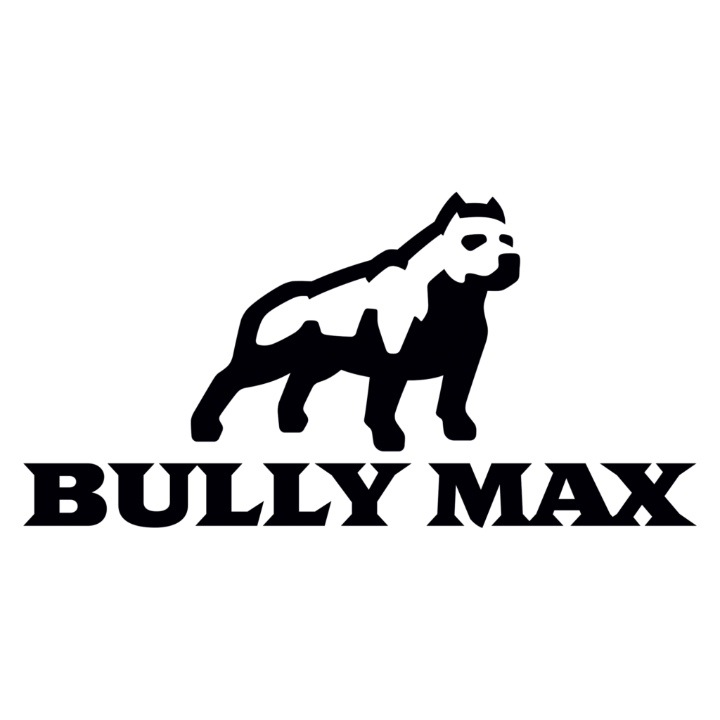 Success Stories & Case Studies | Holini - Google Ads Agency